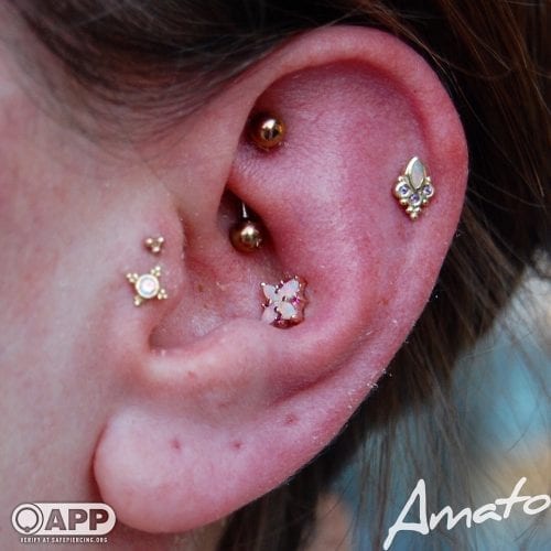 Rook and Faux Rook | Amato Fine Jewelry & Body Piercing